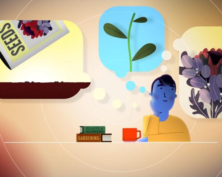 Welcome to the Social Sciences Division | Social Sciences Division