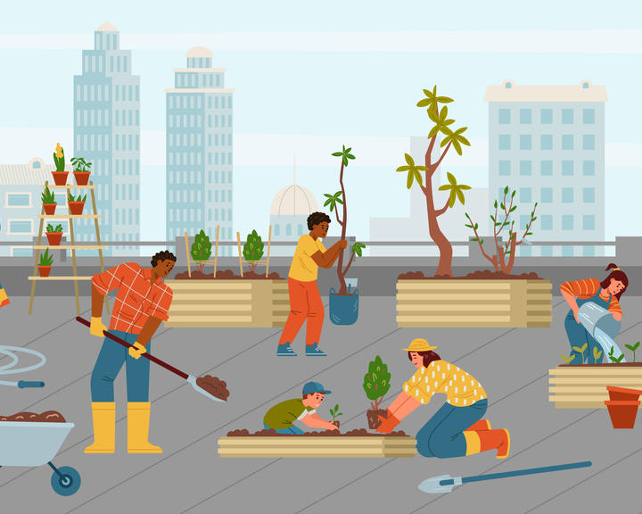 Edible Streets – growing food in unexpected places! | Social Sciences ... Edible Streets – growing food in unexpected places! | Social Sciences ...