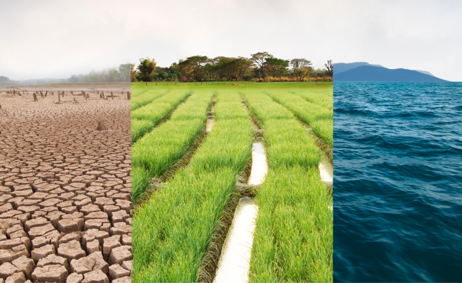 Our Research and Impact | Social Sciences Division