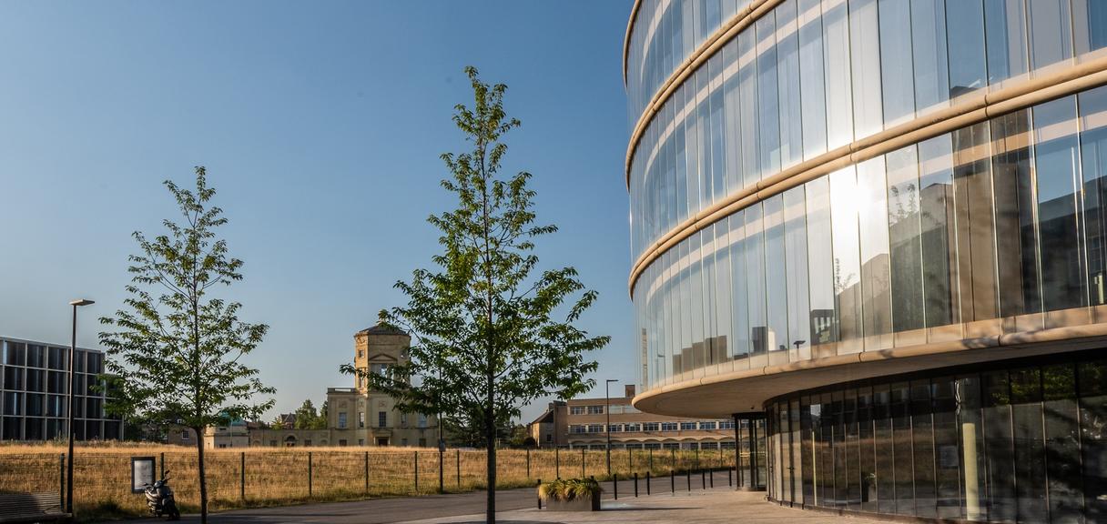 Social Sciences Division Induction Event 2025 | Social Sciences Division