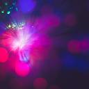 ESRC IAA | Social Sciences Division